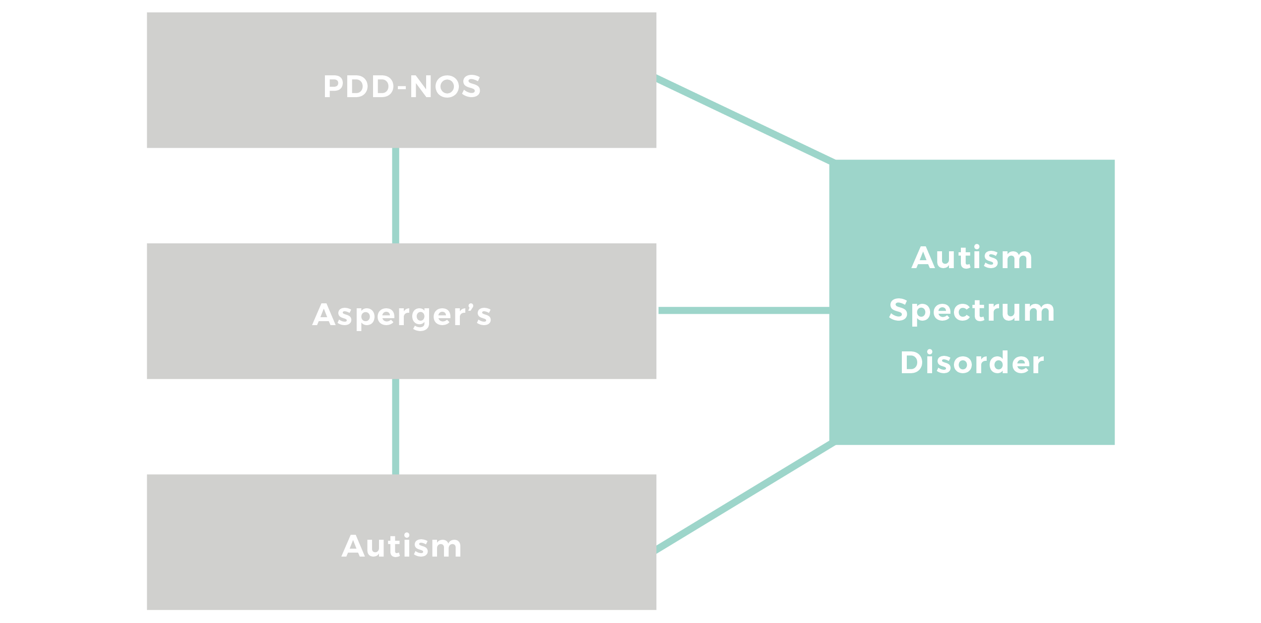 ASD (Autism) – Young Mind Center